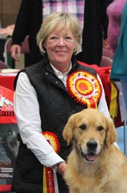 Committee Biographies | EASTERN COUNTIES Golden Retriever Club